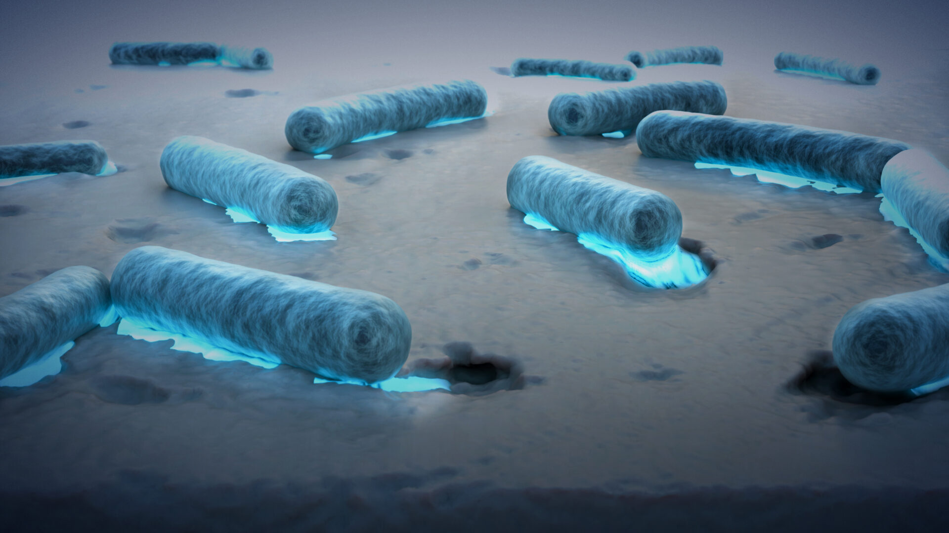 Plastic-Eating Bacteria Are Taking Over the Oceans - Lingkar Bumi